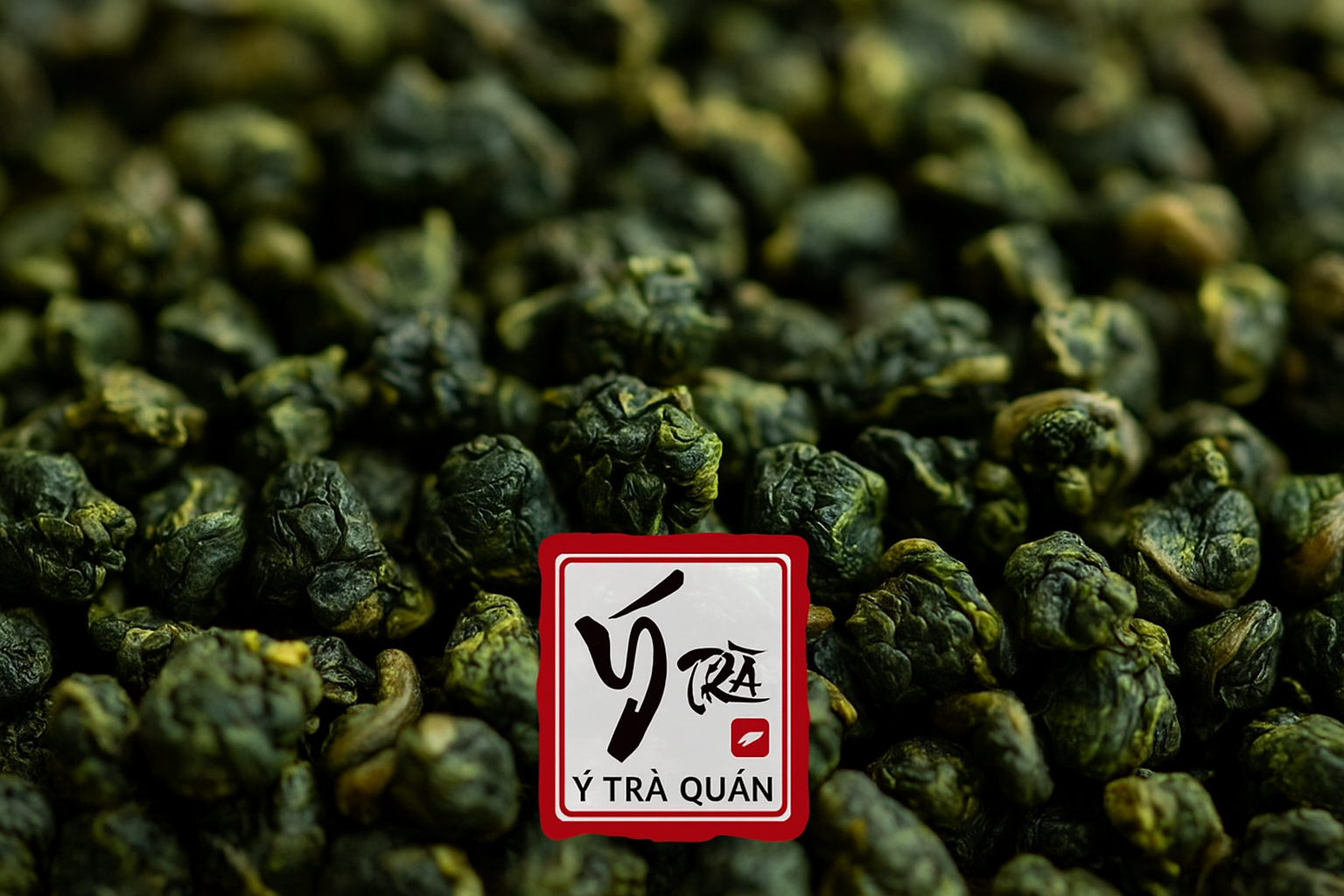 Trà Thiết Quan Âm – Hương thơm bất hủ của trà truyền thống